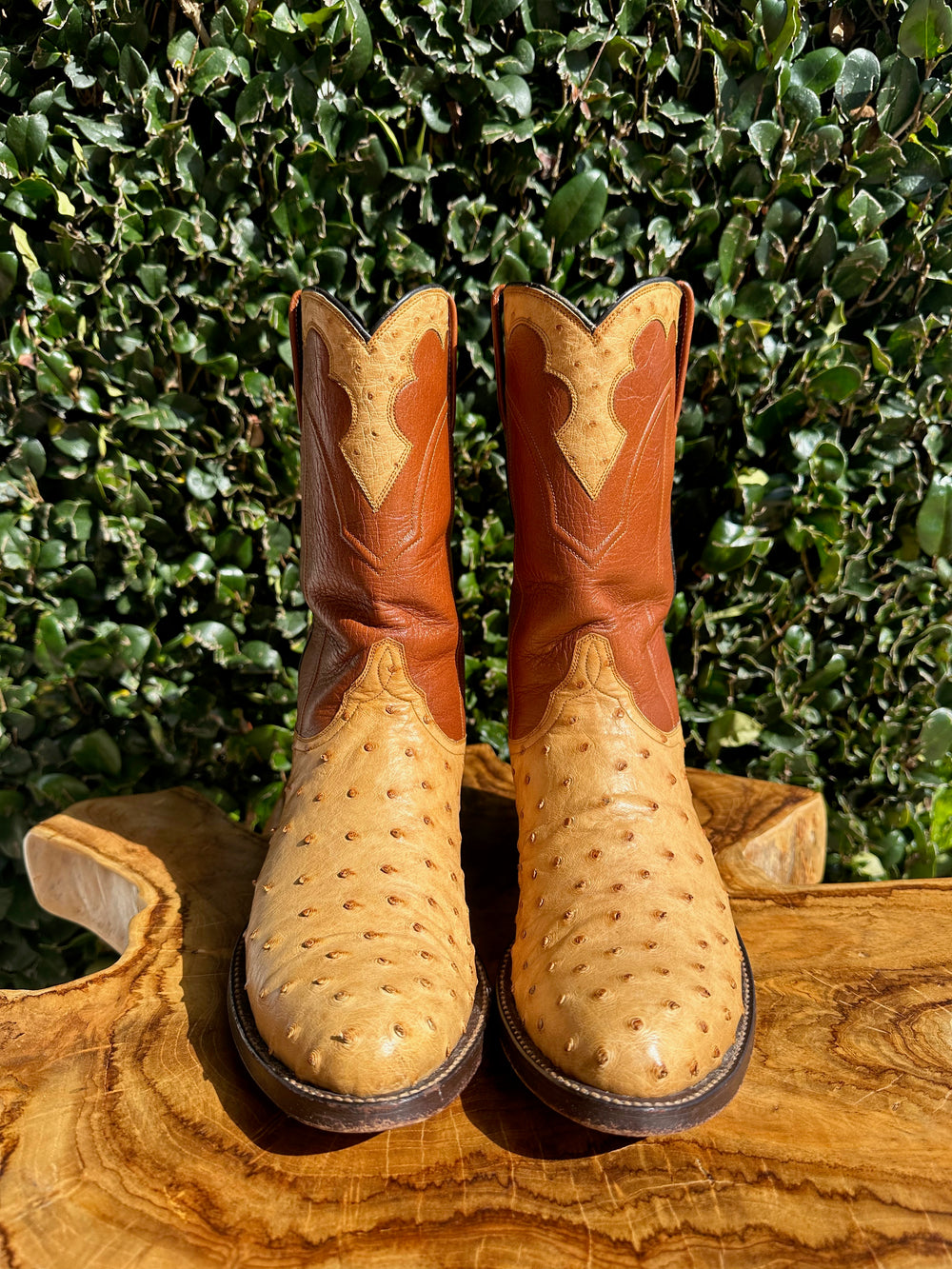 Collections – Western Boot Company